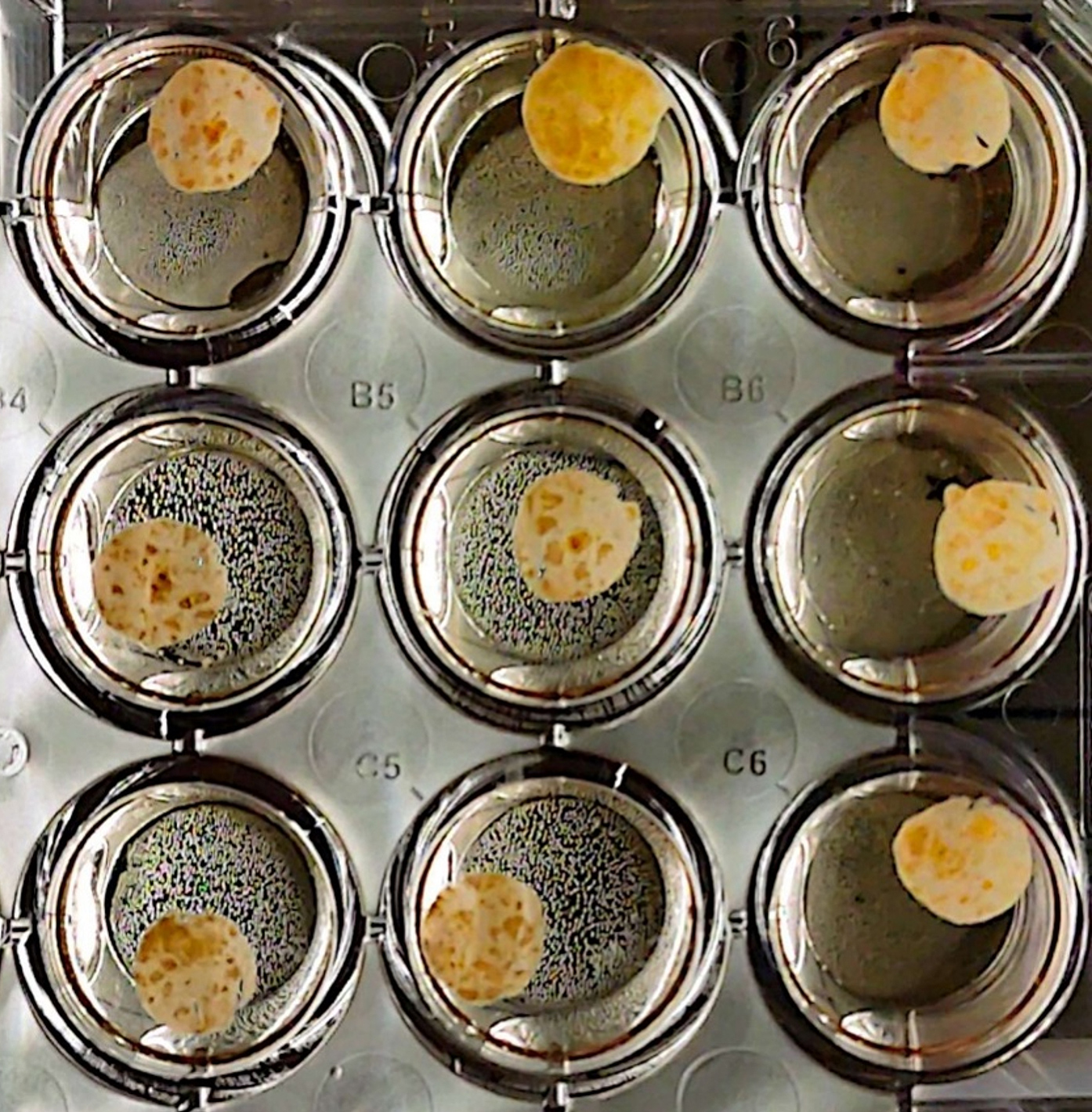 TECHNOLOGY – The Preclinical Liver Research Center